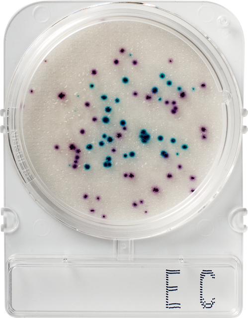 Compact Dry – Cap-Lab